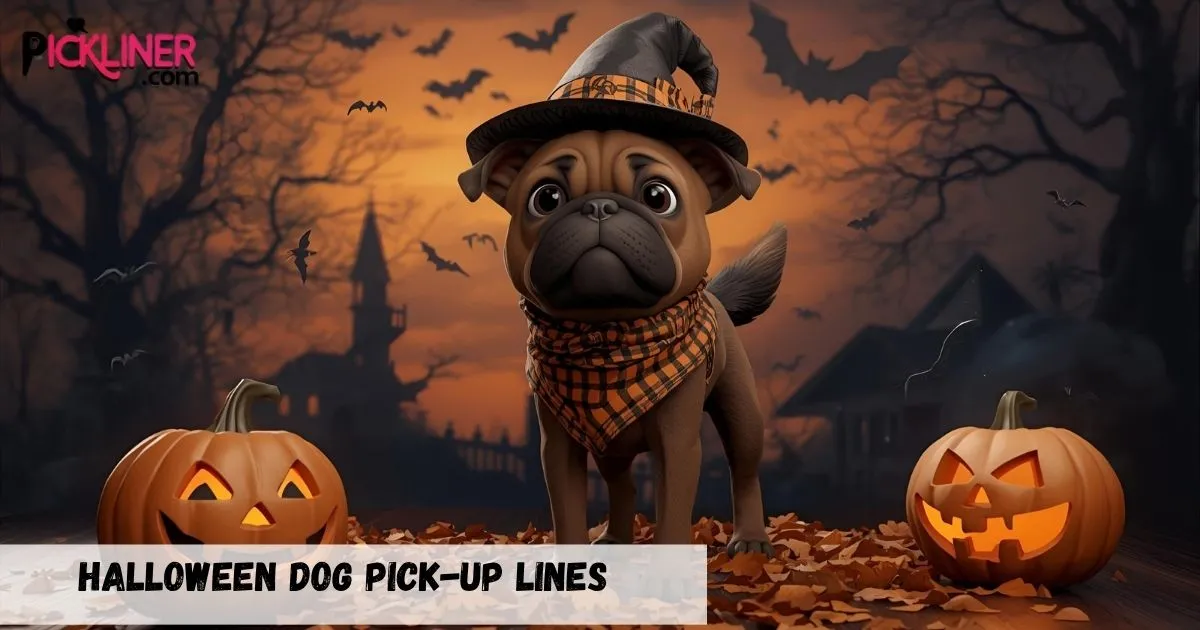 205+ Halloween Dog Pick-Up Lines (Funny ,Cute &Best)